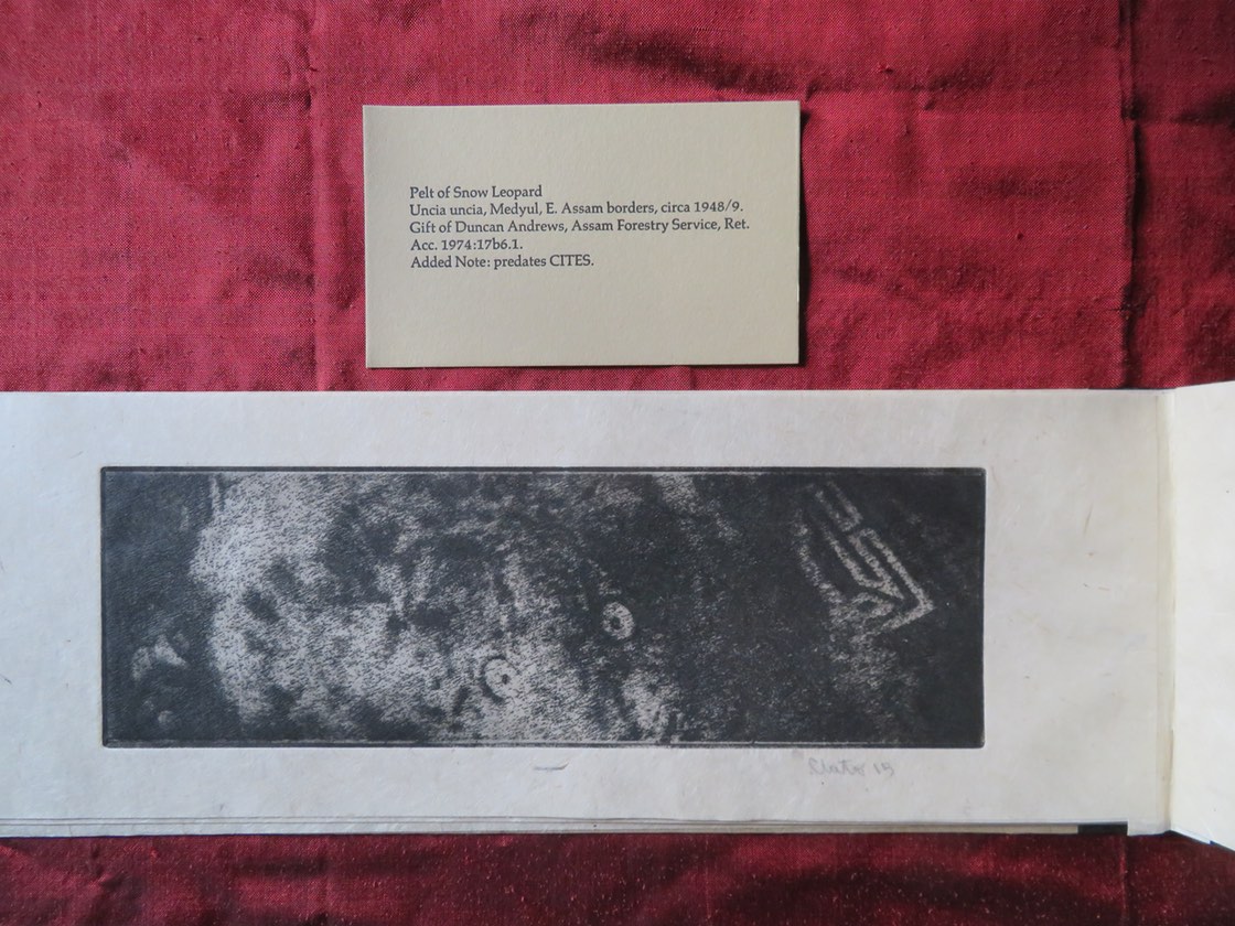 PUBLICATIONS – Masques of the Disappeared